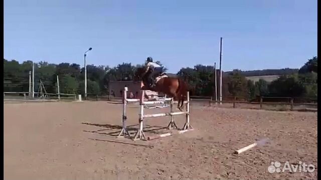 Опытный Конкурный мерин, самовоз