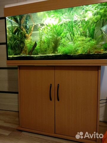 Аквариум 200 литров с тумбой