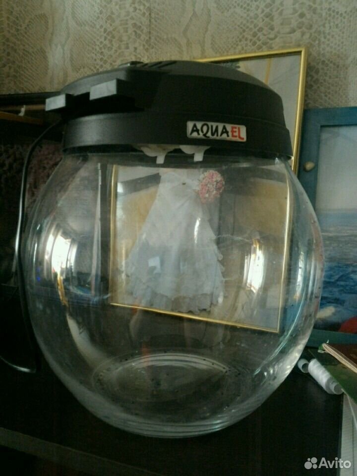 Аквариумы