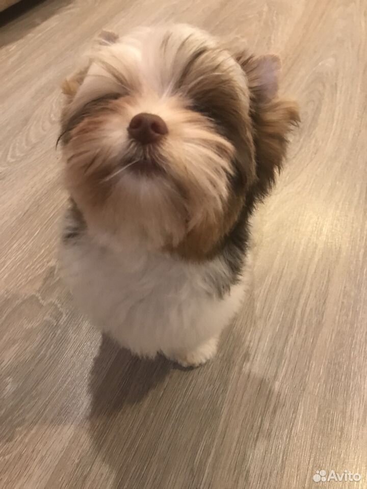 Биро мальчик красавчик