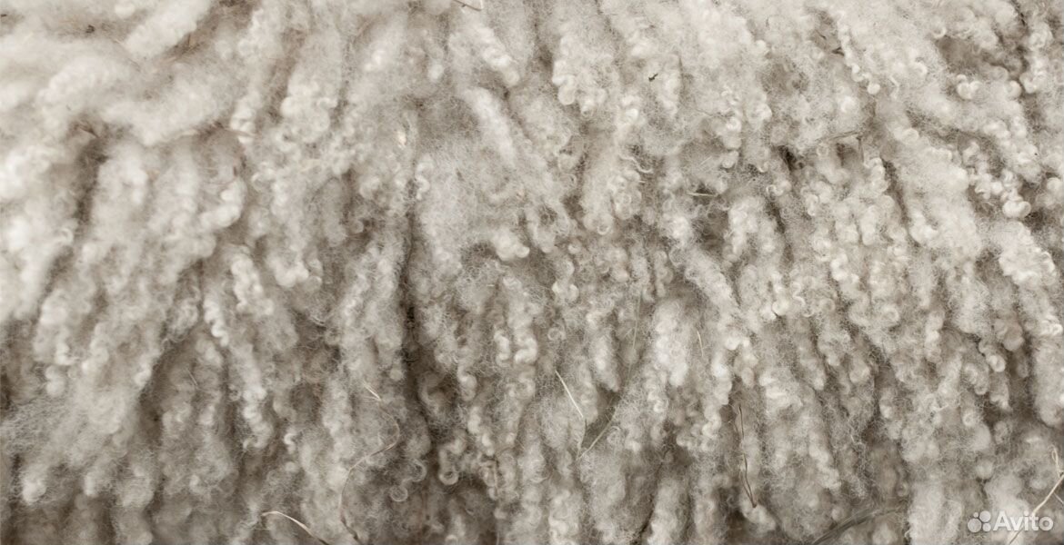 Шерсть меринос