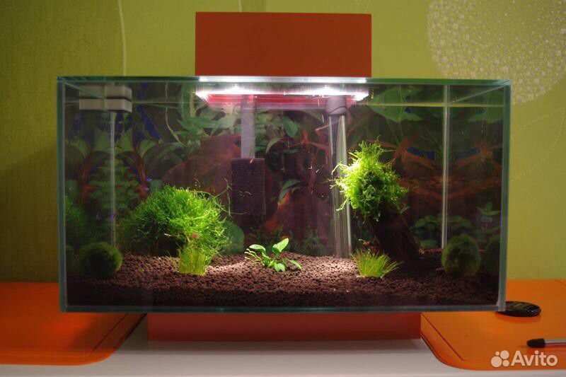 Аквариум Fluval edge 23
