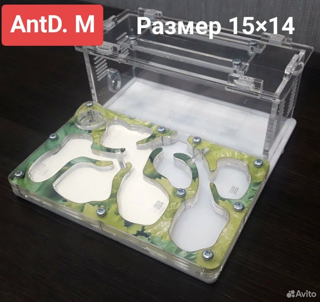 Муравьиная ферма Формикарий с муравьями