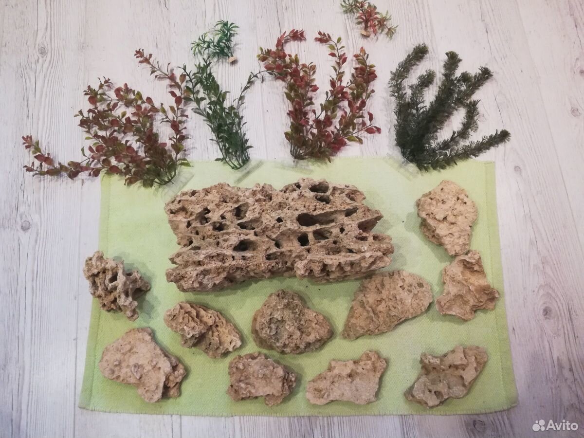 Песчаник с искусственными растениями