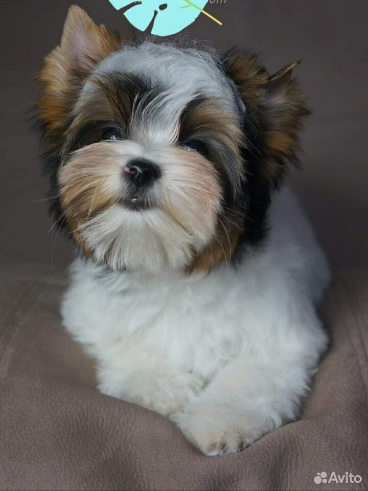 Кукольная малышка