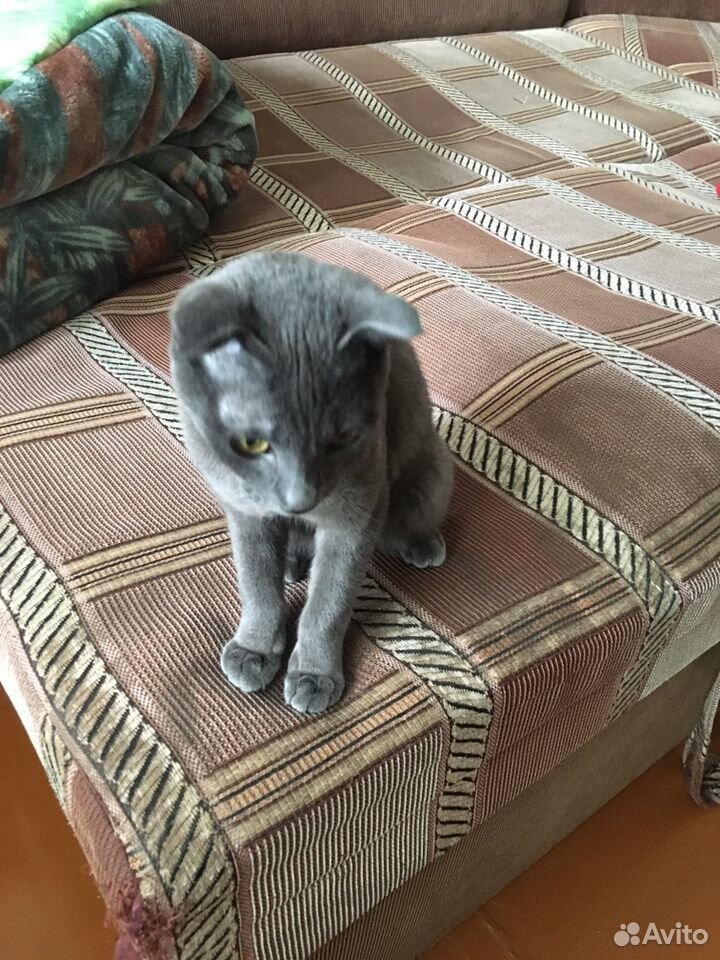 Вязка