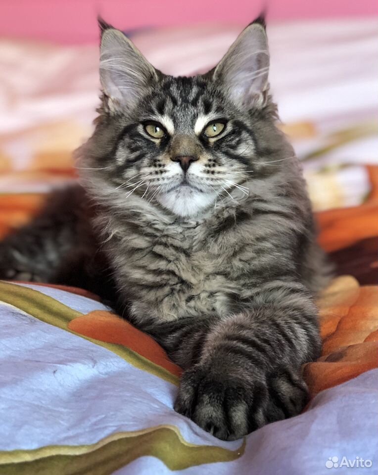 Брутальный мужчина