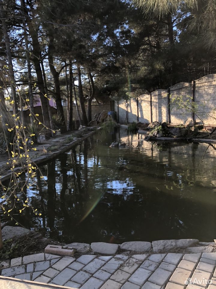 Заберём черепах