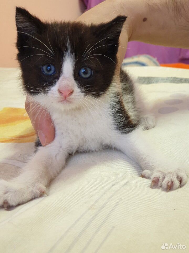 Малыш Леонэль ждет маму