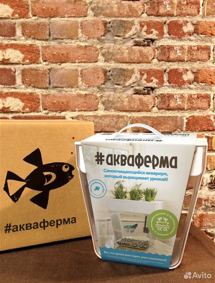 Акваферма новая