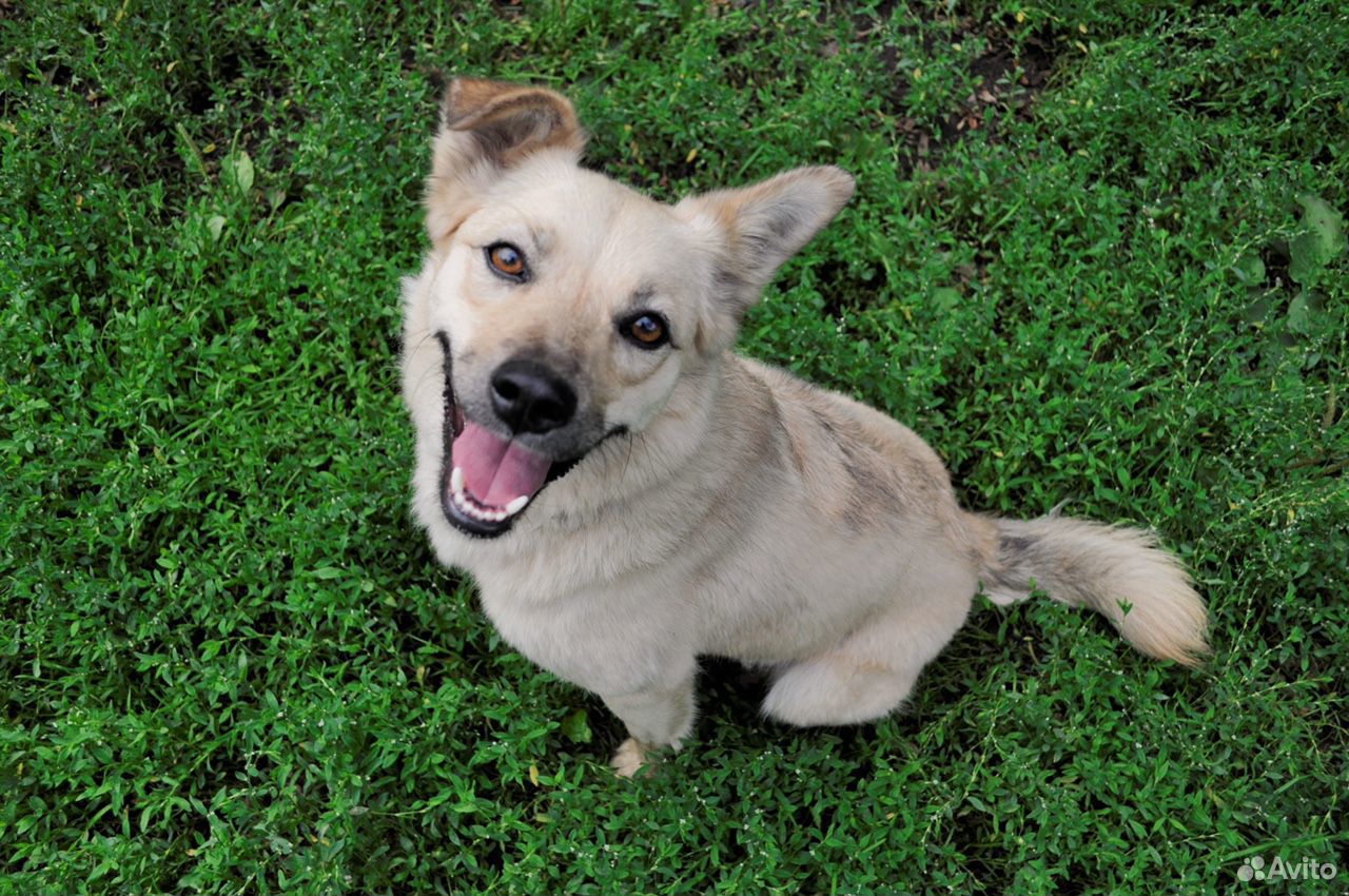 Солнечная Оливия