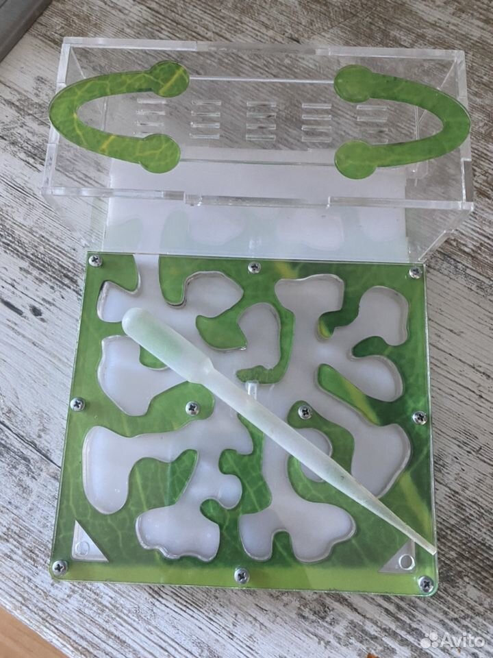 Продам муравьиную ферму