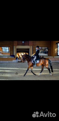 Отличный учитель предлагается к продаже