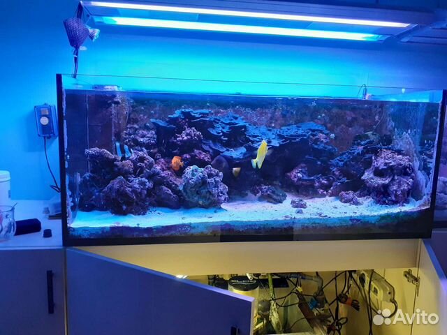 Морской аквариум С животными