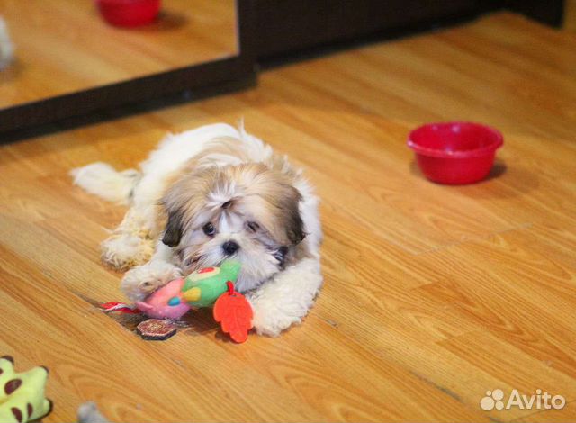 Тони светлая кукла