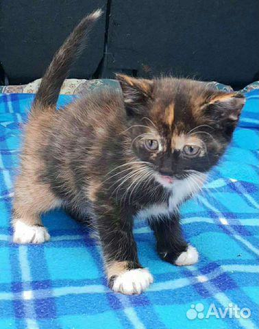 Малышка Марыся