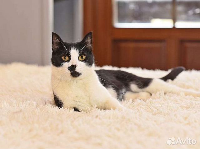 В дар Ксюша