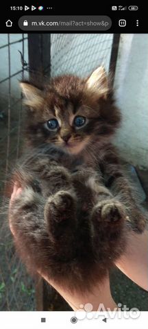 Домовёнок Кузя