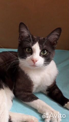 Домовенок Кузя ждёт родителей