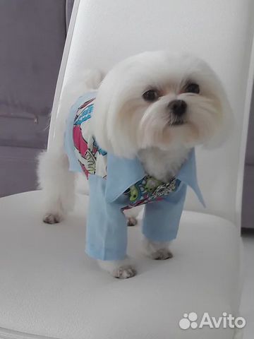 Вязка