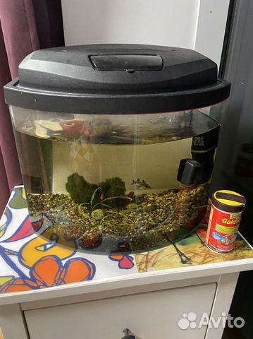 Аквариум Aquael 25л с фильтром и с рыбками