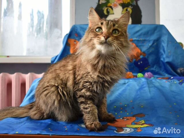 Красотка с большими глазами Маруся