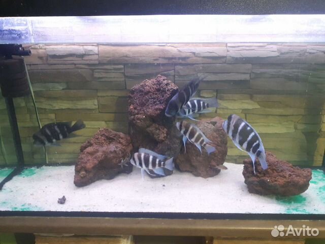 Украшение для аквариума