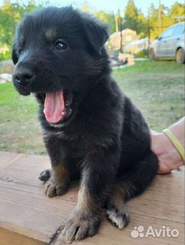 Мальчик красавчик в добрые ручки