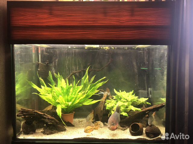Аквариум с тумбой