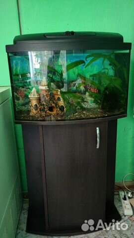 Аквариум с тумбой бу