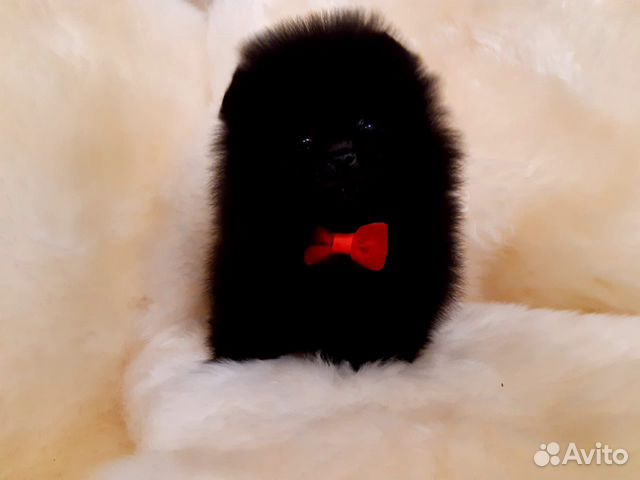 Черные угольки