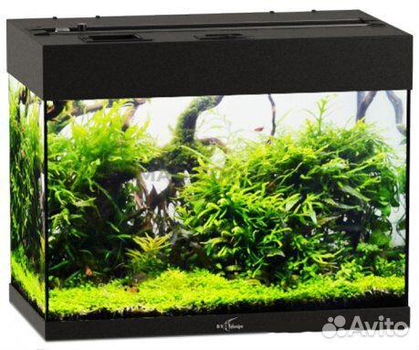 Аквариум Биозизайн Риф 60 черный