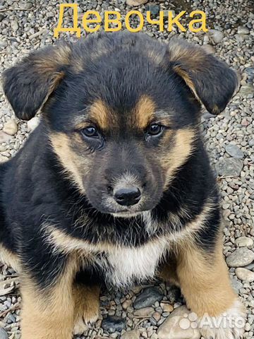 Другая