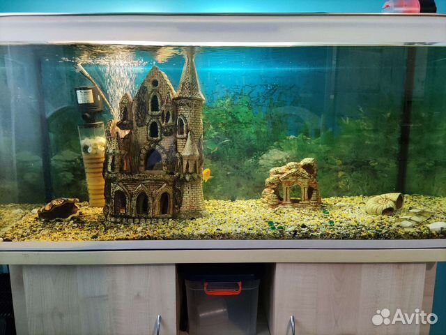 Аквариум с тумбой 240 литров