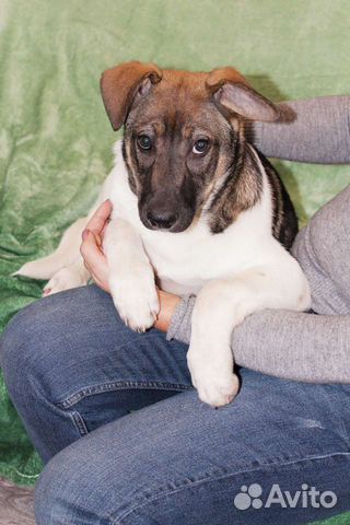 Ляле очень нужен дом