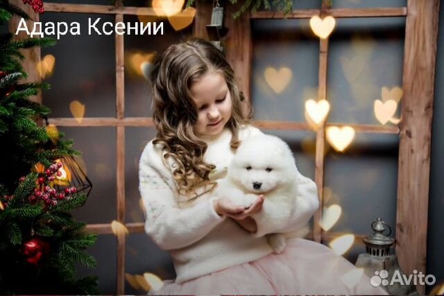 Самоеды