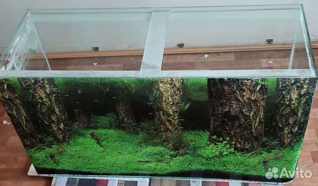 Аквариум