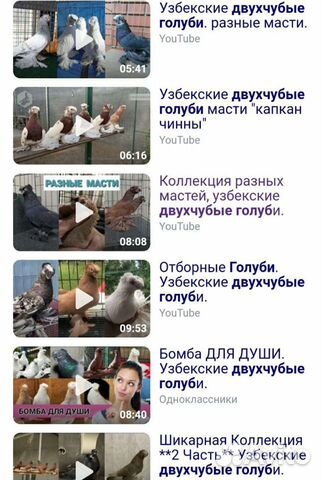 Завести голубей