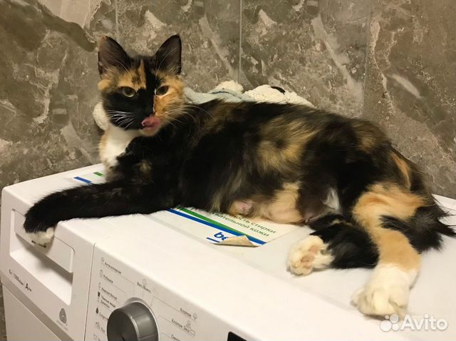 Яркая и необычная Маруся