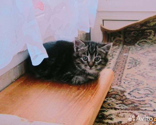 Девочка около 2 х м