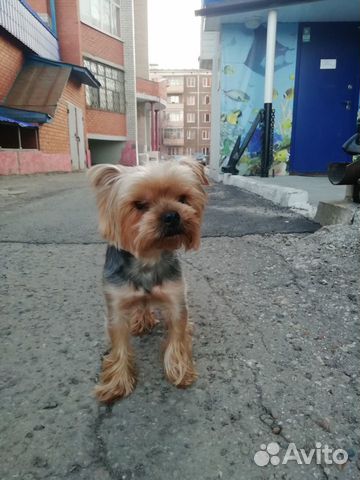 Кабель на вязку