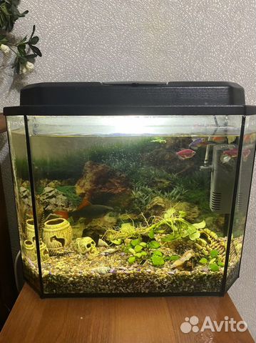 Аквариум