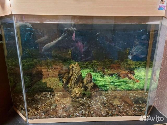 Аквариум