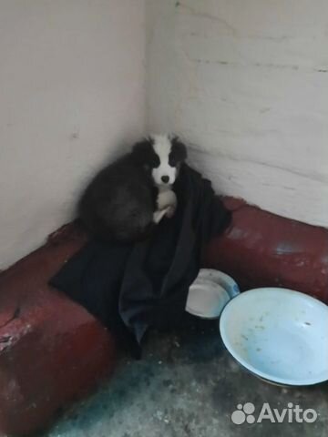 Малышу нужна помощь