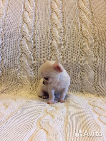 Минимальчик