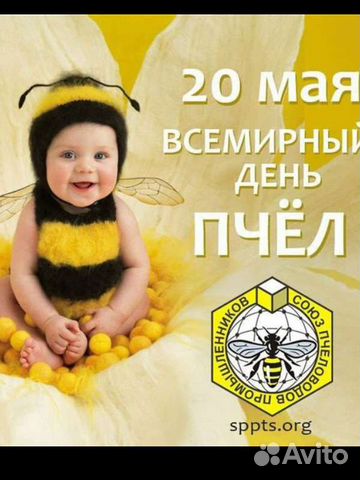 Пчеломатки