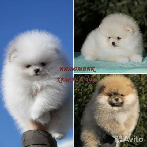 Красивые девочки