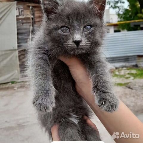 Самая нежная девочка