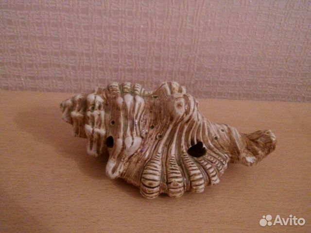 Ракушка фигурная 20см на 10см