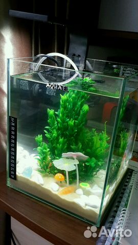 Аквариум Aquael 10л с оборудованием